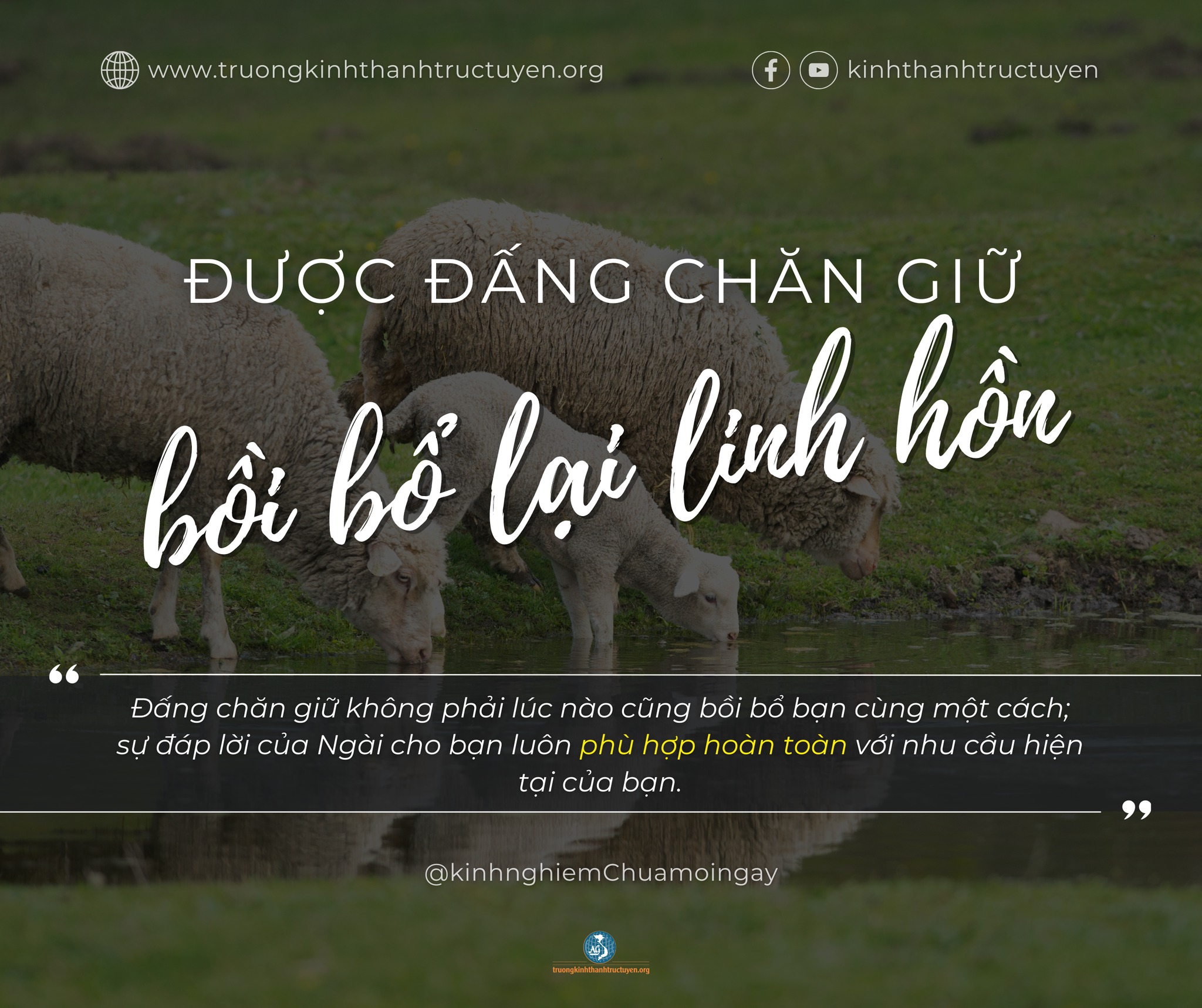 Được Đấng chăn giữ bồi bổ lại linh hồn