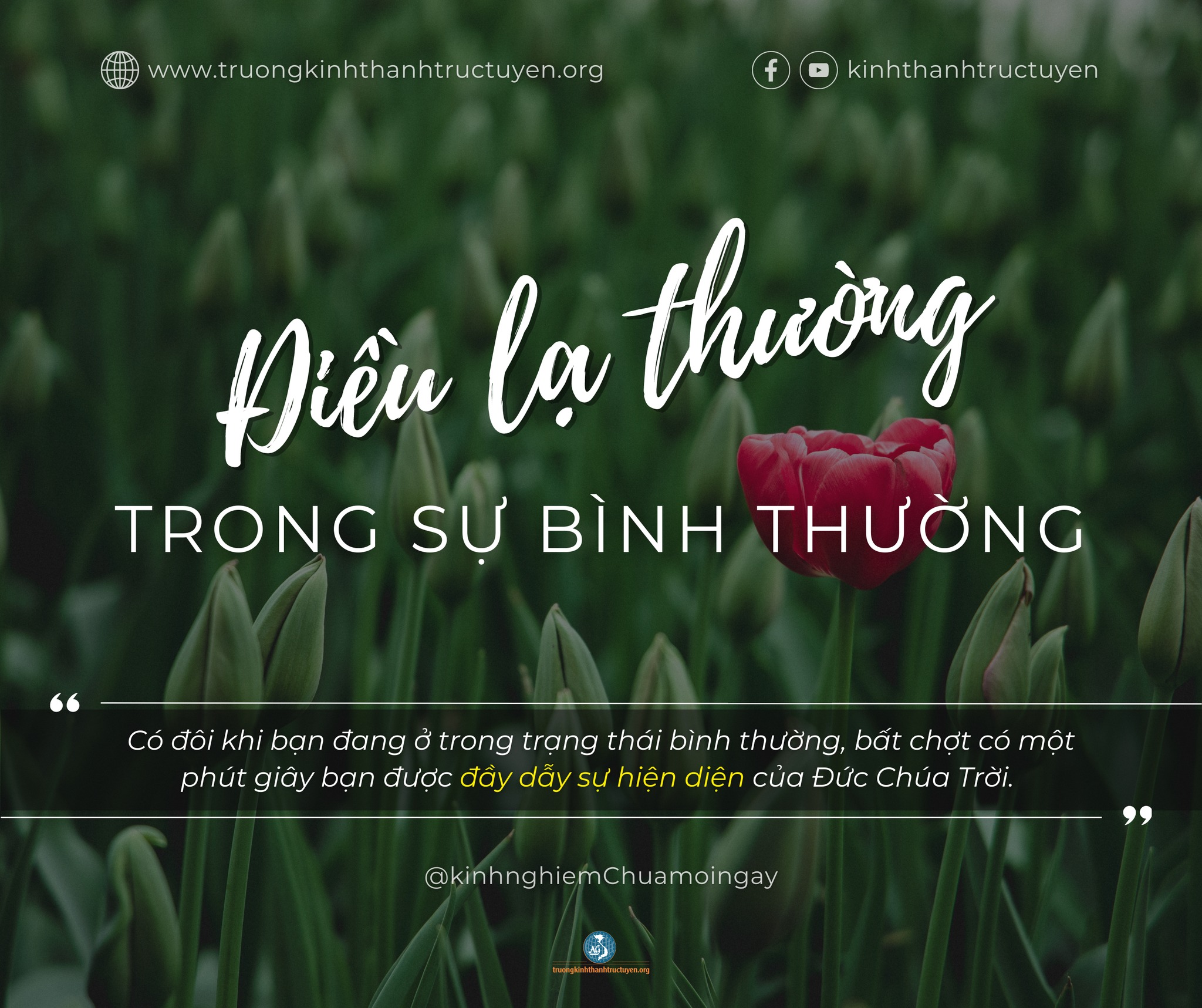 Điều lạ thường trong sự bình thường